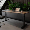 Bisley Shop • direkt vom Hersteller • Bisley Store